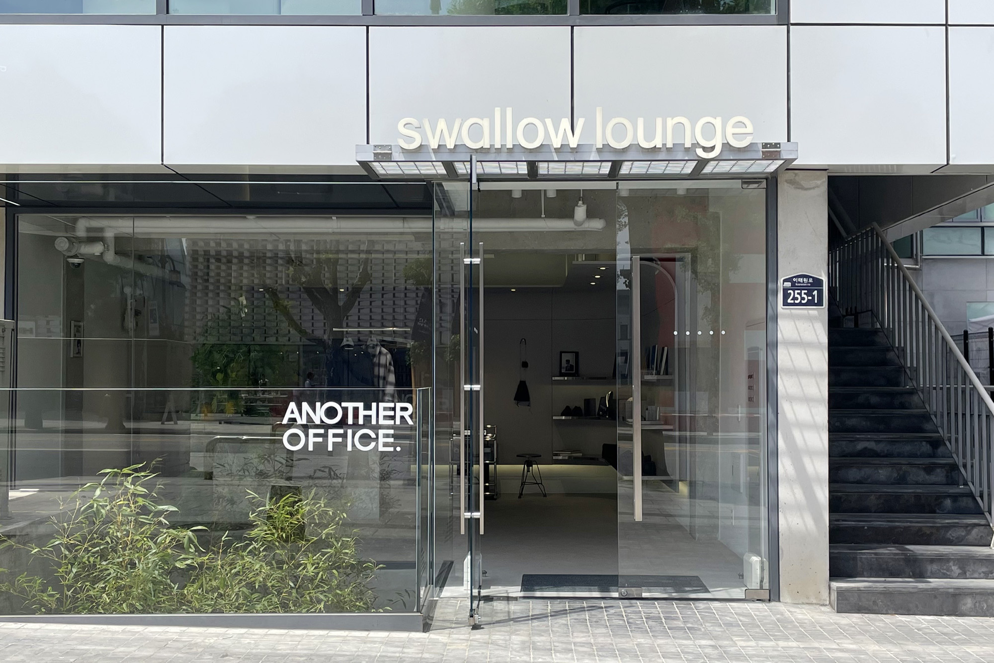 swallow lounge